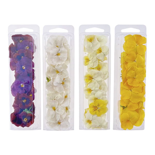 CHOCOLATE BROWN VIOLAS - Freeze Dried Edible Viola Flowers by Bloomish ...