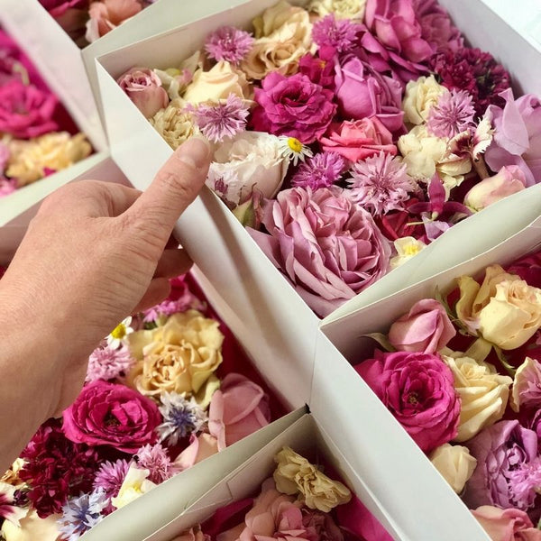 Bloomish Box: Monthly & Season Delivery of Freeze Dried Edible Flowers ...