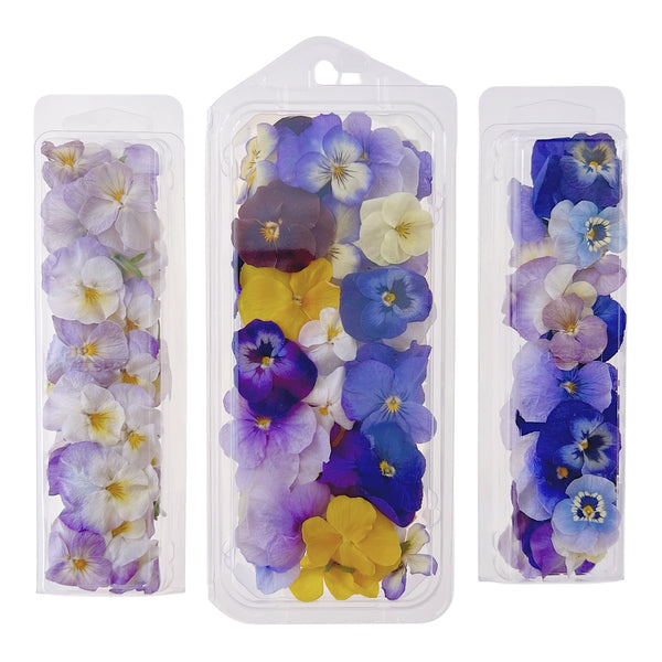 LILAC VIOLAS - Freeze Dried Edible Viola Flowers by Bloomish ...
