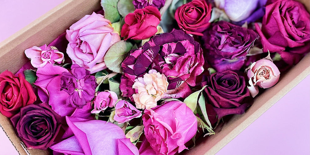 Bloomish Freeze Dried Edible Flowers | Dried Flowers for Cake Flowers