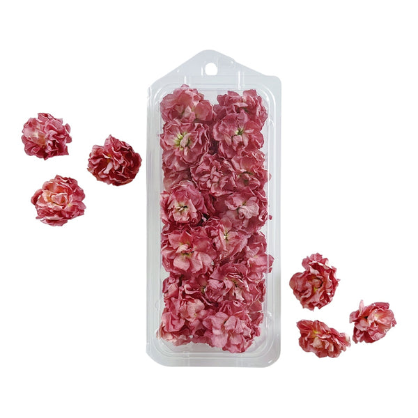 Latte Stock - Freeze Dried Edible Stock Flowers by Bloomish ...