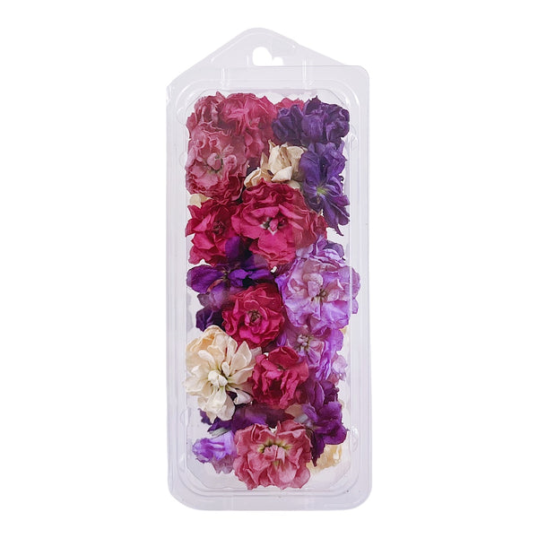Multicolour Stock - Freeze Dried Edible Stock Flowers by Bloomish ...