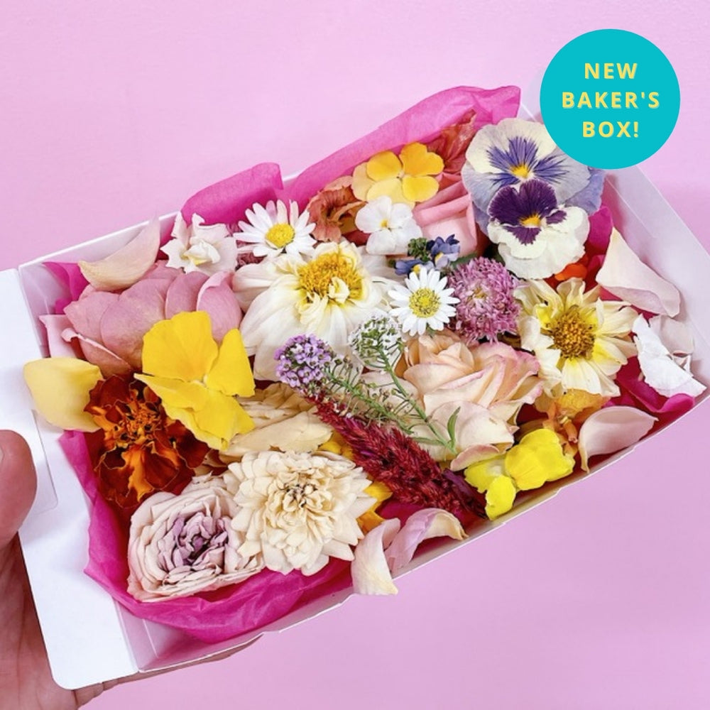 Bloomish Freeze Dried Edible Flowers | Dried Flowers for Cake Flowers