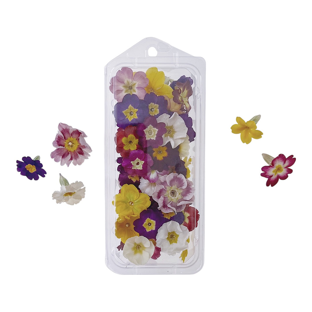 Bloomish Freeze Dried Edible Flowers | Dried Flowers for Cake Flowers