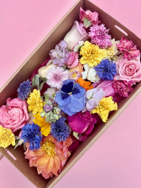Bloomish Freeze Dried Edible Flowers | Dried Flowers for Cake Flowers