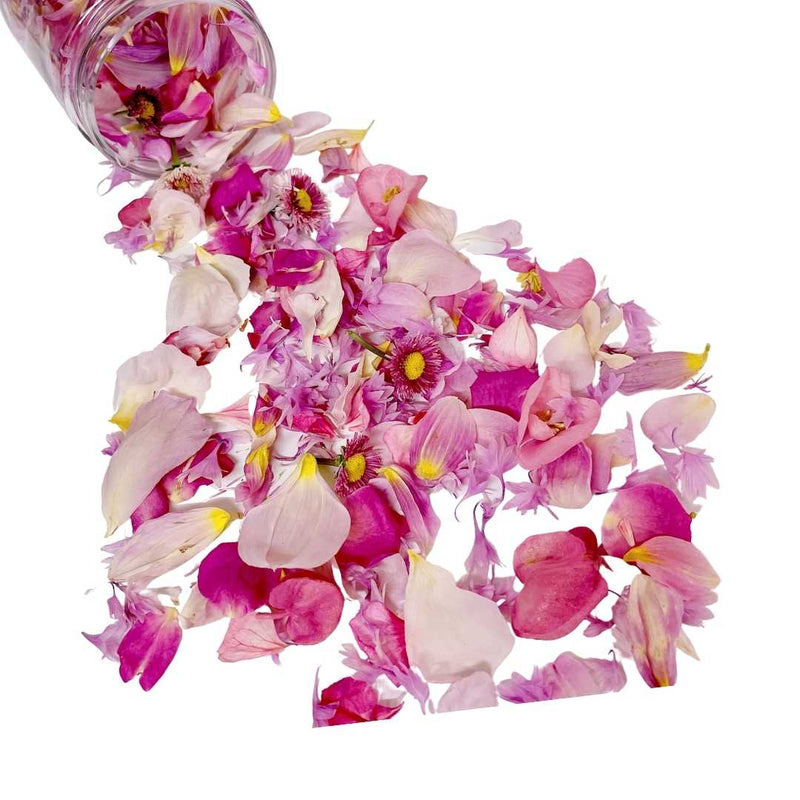 Bloomish Freeze Dried Edible Flowers | Dried Flowers for Cake Flowers